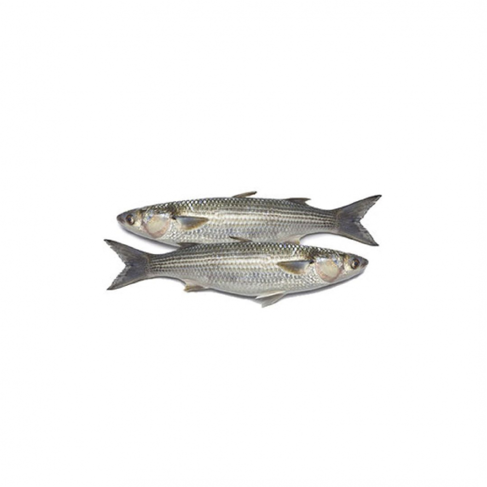 Pescado Lisa limpio entero MMH (1 kg / 2.2 lb) | Supermarket 23 es una ...