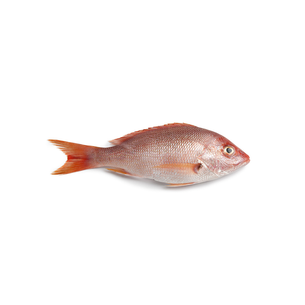 ALLÁ Whole Snapper Fish (2.27 kg / 5 lb) | Online Agency to Buy and ...