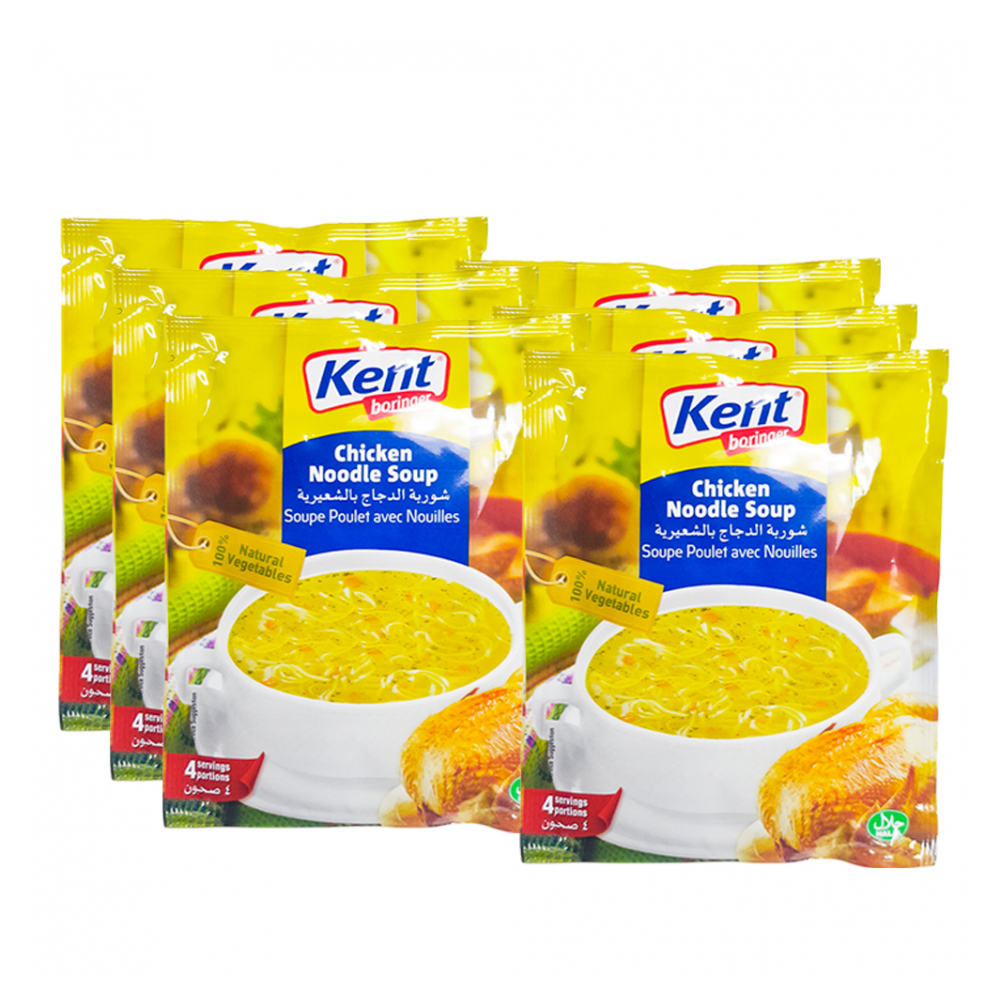 Kent Boringer chicken noodle soup (6 x 66 g / 2.32 oz) | Online Agency ...